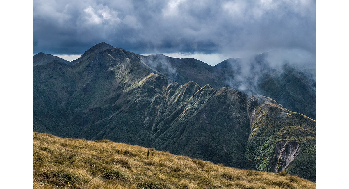 Mitre via Table Ridge, January 2021 - Occasional Climber