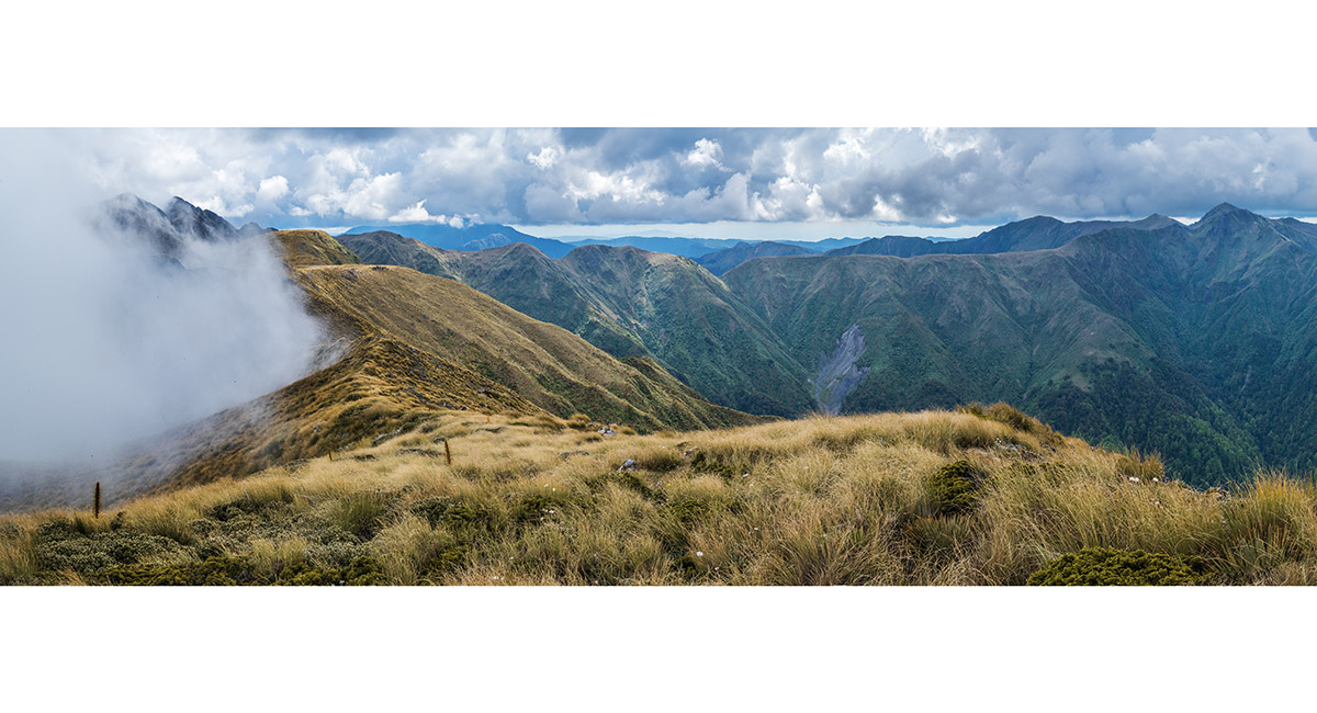 Mitre via Table Ridge, January 2021 - Occasional Climber