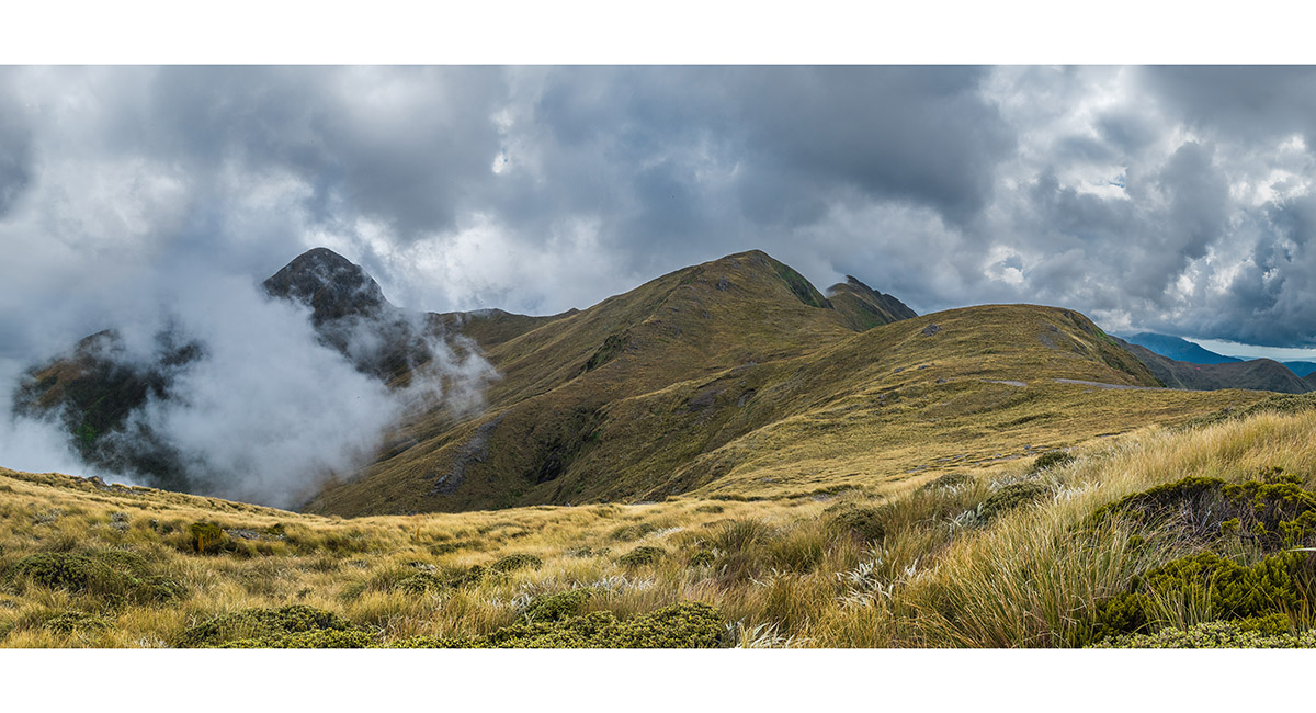 Mitre via Table Ridge, January 2021 - Occasional Climber