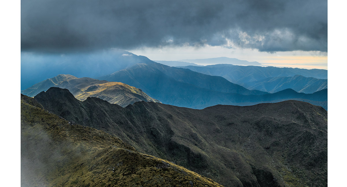 Mitre via Table Ridge, January 2021 - Occasional Climber